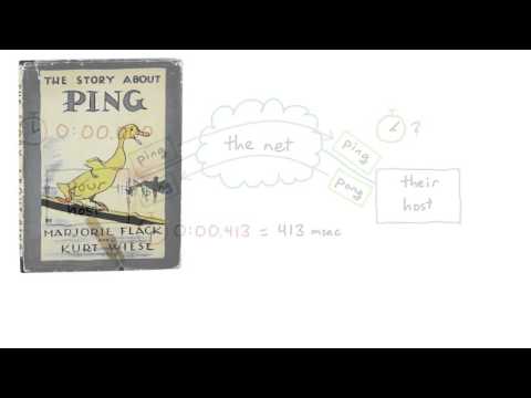 The Story about Ping