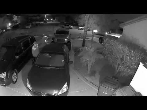 Detectives Seek Public’s Help in Identifying 459 Suspects