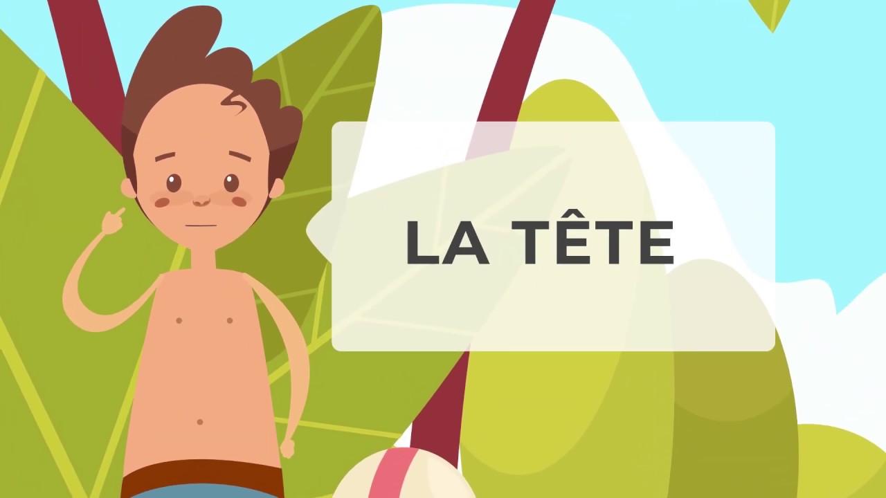 Les parties du corps - Las partes del cuerpo en francés