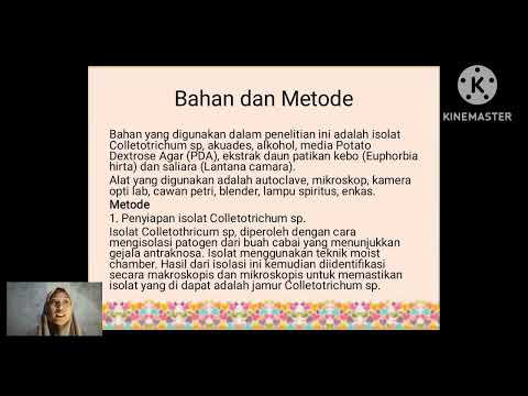 TUGAS REVIEW JURNAL TENTANG HAMA/PENYAKIT TANAMAN CABAI | SHOLIHATUN_202041076_FAPERTA UMK