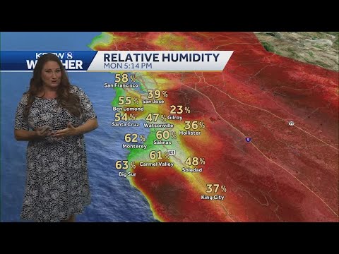Gradual warm-up followed by cooler weekend temperatures