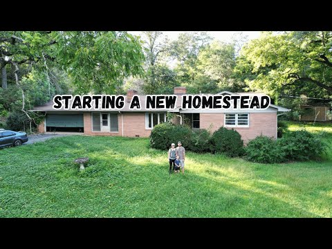 Abandoned 24 Acre homestead!