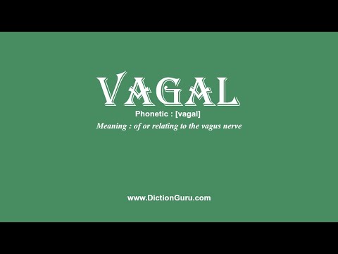 How to Pronounce vagal with Meaning, Phonetic, Synonyms and Sentence Examples