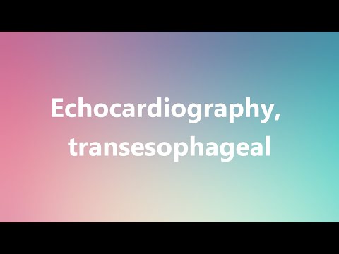 Echocardiography, transesophageal - Medical Definition and Pronunciation