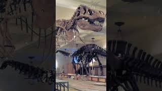 ????¡El AMNH 5027 Y Chip Kidd!????#jurassicpark #jurassicparkfans #tiranossaurorex #stevenspielberg #trex