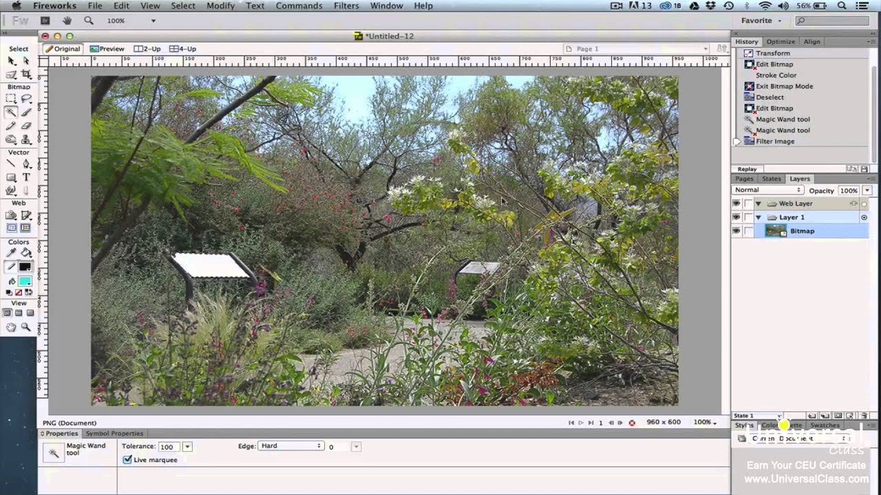 Using the Bitmap Selection Tools in Adobe Fireworks