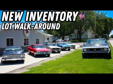 We Bought New Muscle Car Inventory: Lot Walk
