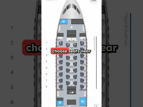 American Airlines Boeing 787-9 Flight Seat Map