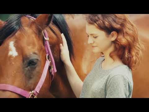 What is Equine Therapy?