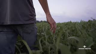 Advanced Agrilytics Reviews and Clients | DesignRush