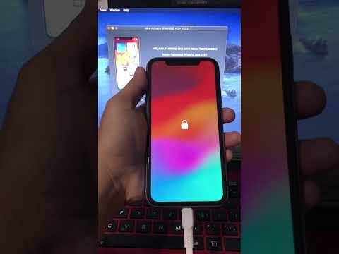 Bypass Cellular iPhone 11 - ios 17.5.1 with Mina Activator