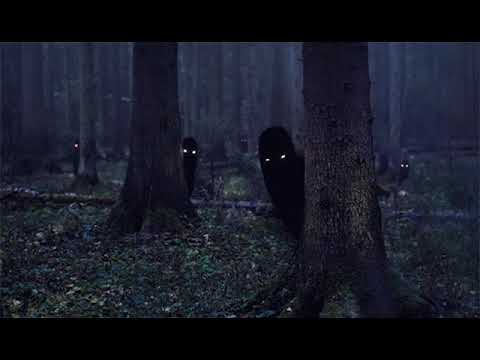 Kalilaskov AS - Dark Psilosophy