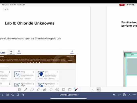 Lab 8 (Chloride unknowns) post-lab tutorial