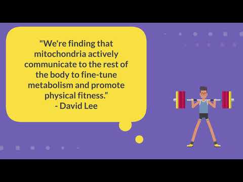 See how they run: ‘Exercise protein’ doubles running capacity & extends healthy lifespan in old mice