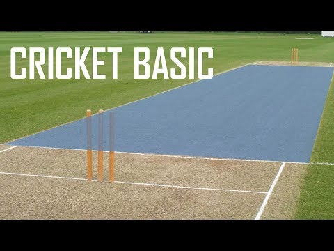 Cricket Basic Parameters - Cricket Fielding Positions - Batting Shots in Cricket