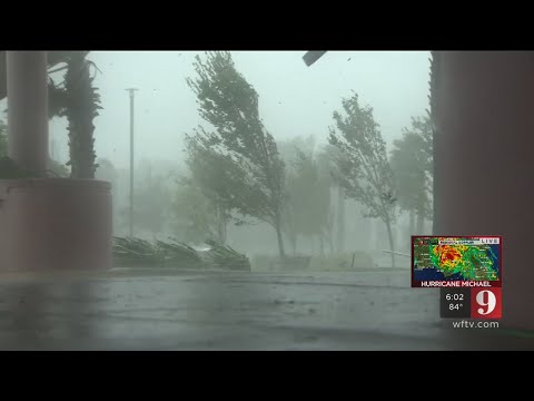 Hurricane Michael: Hear what a Category 4 hurricane sounds like | WFTV