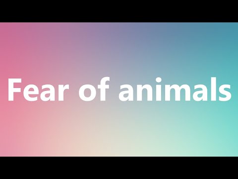 Fear of animals - Medical Definition and Pronunciation