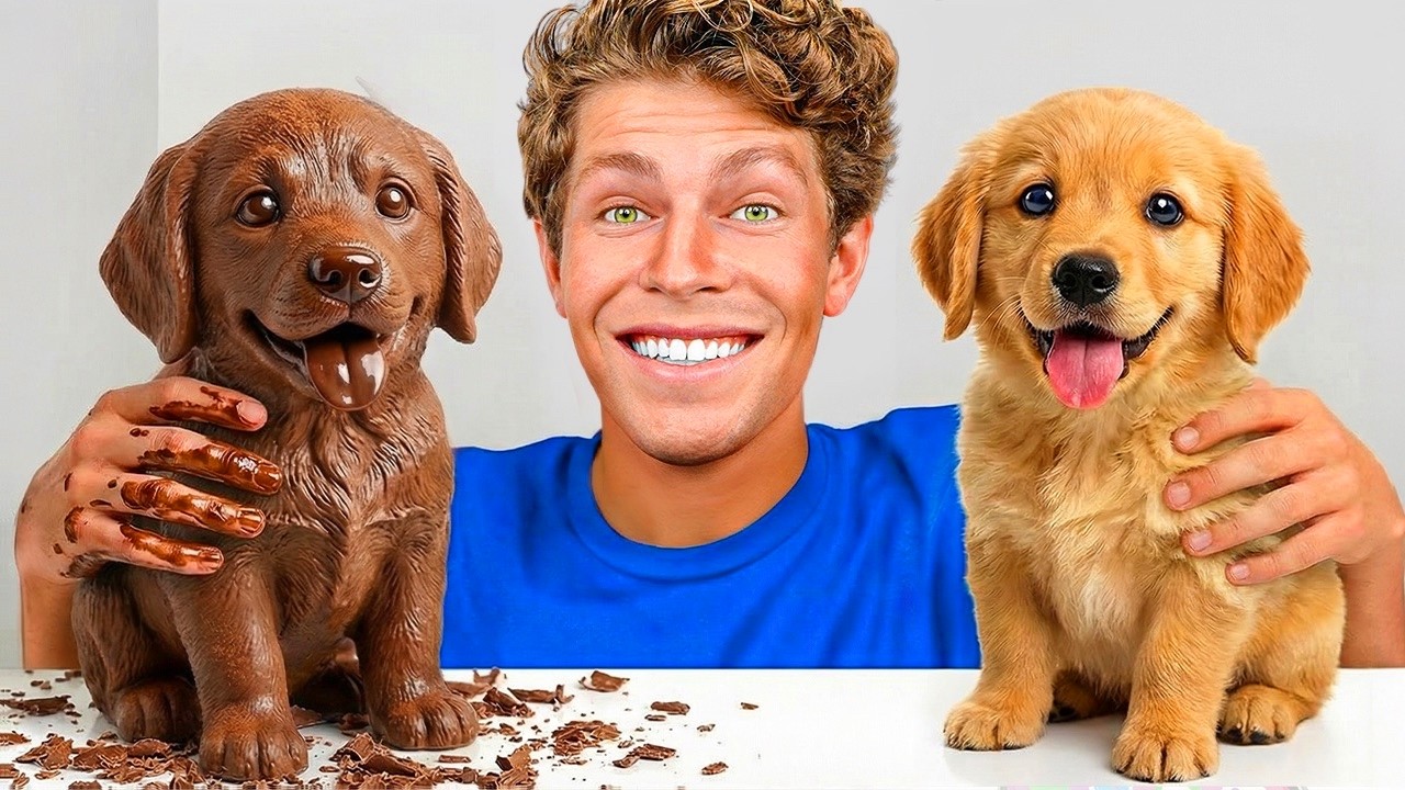 CHOCOLATE or REAL Challenge!