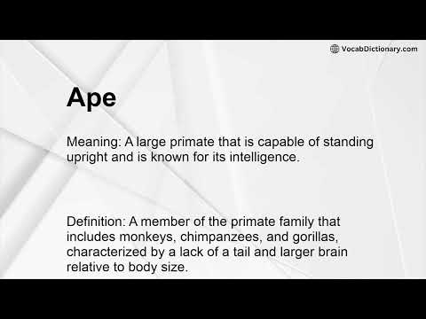 Ape Meaning