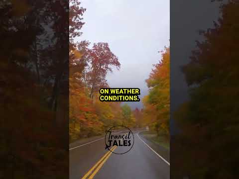 Fall in New England : When & Where to Go in 2023