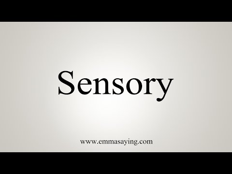 How To Say Sensory