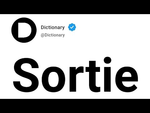 Sortie Meaning In English