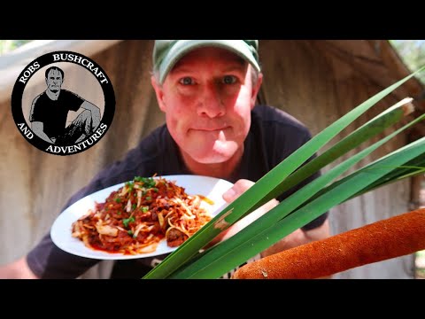 Cattail Spaghetti