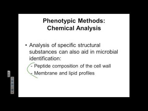 Micro Ch 15 Overview of Diagnostic Methods