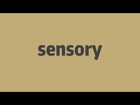 How to pronounce sensory -Elin's english