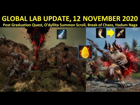 [General Gameplay] [Test Server Update 12 NOV 2020] from Chris Poli