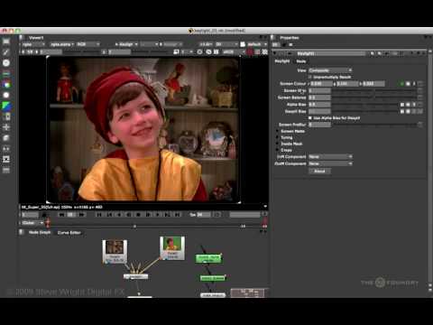Nuke; Basic Workflows; Keylight - Part 1 Video Lecture - Create Visual Effects with Nuke ...