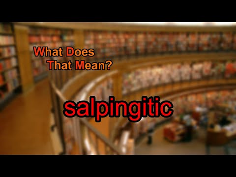 What does salpingitic mean?