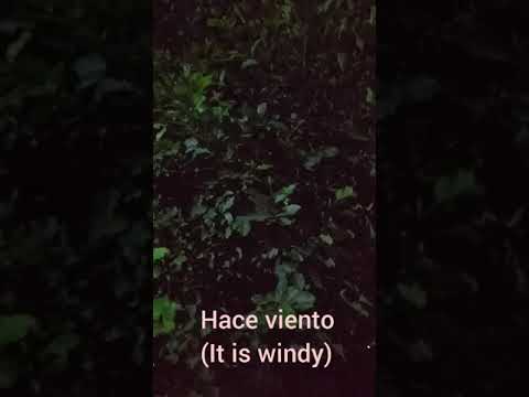 Wind in spanish//¿Cómo se dice en español? #languagewithdeepi #spanish lesson