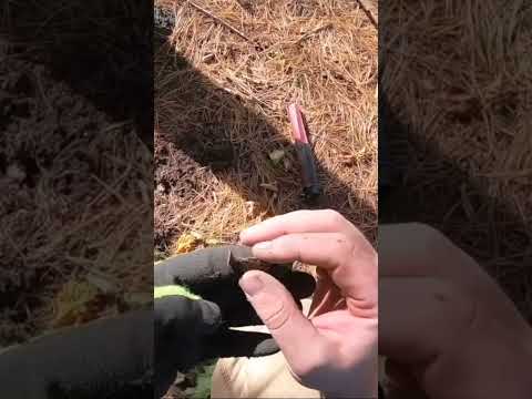 100 Year Old Crackerjack Toy FOUND