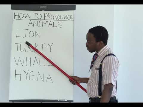 How to pronounce Animals