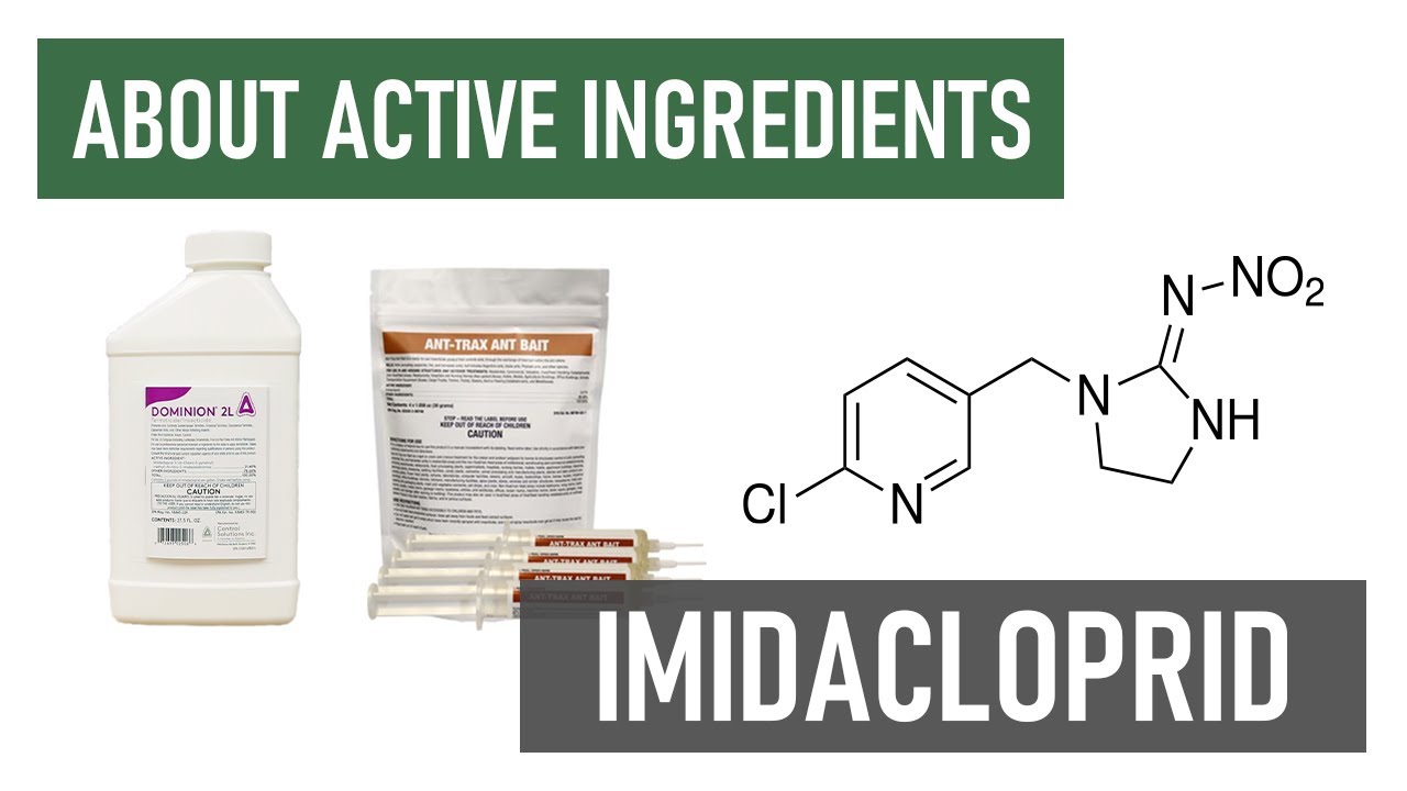 Imidacloprid | Solutions Pest & Lawn