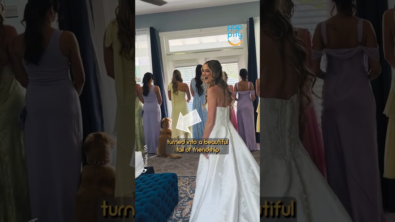 She had no idea her best girl snuck into the bridal formation for a golden first look surprise 🐶