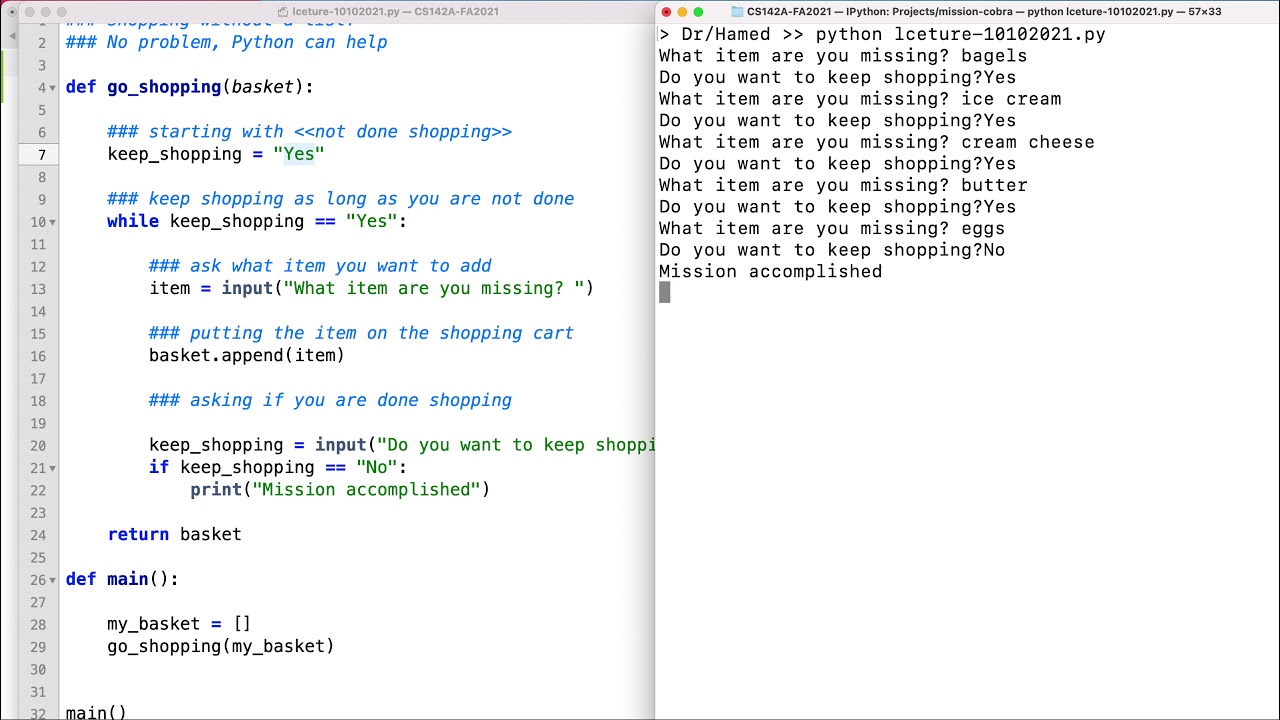 Python Programming: Shopping Without A Grocery list
