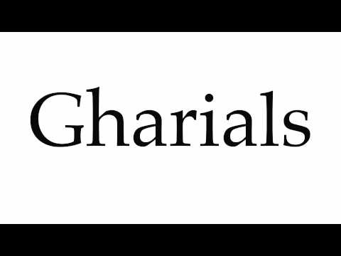 How to Pronounce Gharials