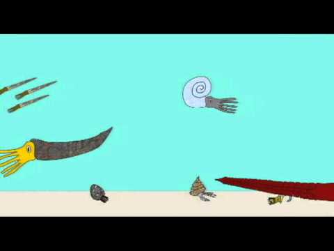 PL EXAM 1: FOSSIL CEPHALOPODS.avi