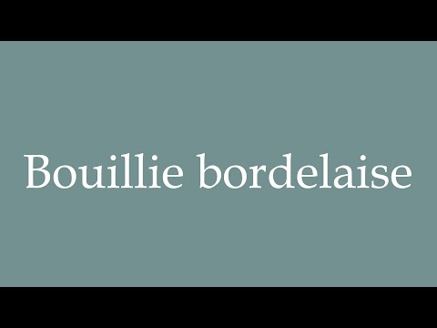 How to Pronounce ''Bouillie bordelaise'' (Bordeaux mixture) Correctly in French