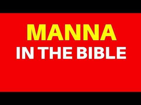 10 Bible Verses On Manna | Get Encouraged