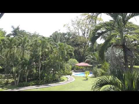 16 ACRES – Largest Development Property In Downtown Dominical $4,000,000!!!