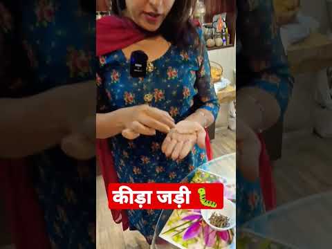 कीड़ा जड़ी #shortvideo #shorts #food #explore