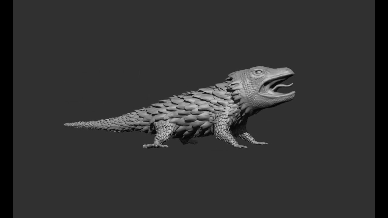 Armadillo girdled lizard || 3D Model