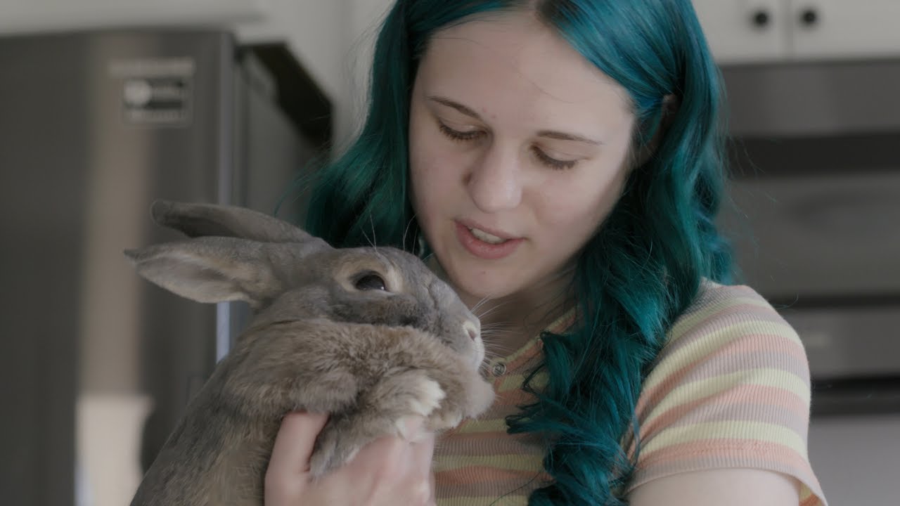 How 101Rabbits' Haley Elmhorst started a rabbit care business through ...