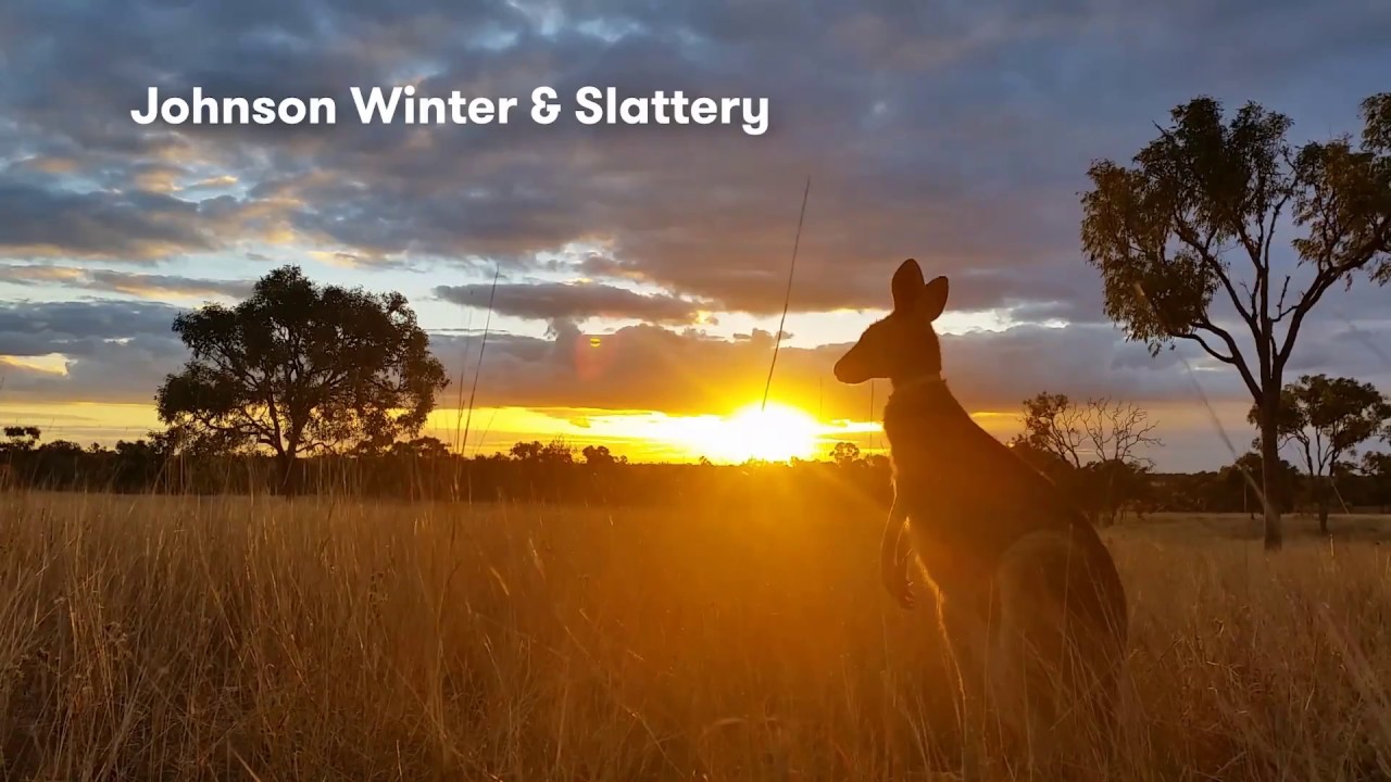 Johnson Winter & Slattery Case Study