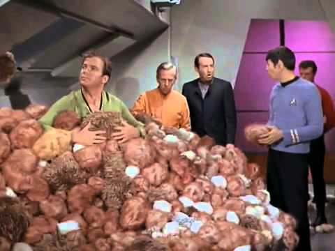Tribbles - Tribbles from Star Trek - Tribbles Math Problem