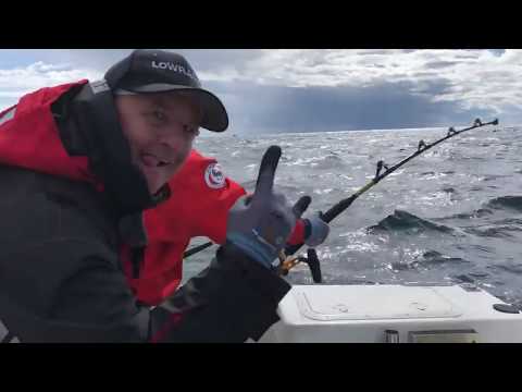 Fiskeri efter blåfinnet tun i Danmark 2018 - fiskevideoer fra hele verden