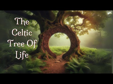 The Tree of Life's Link to Celtic Ancestors - Celtic Tree of Life Storytime